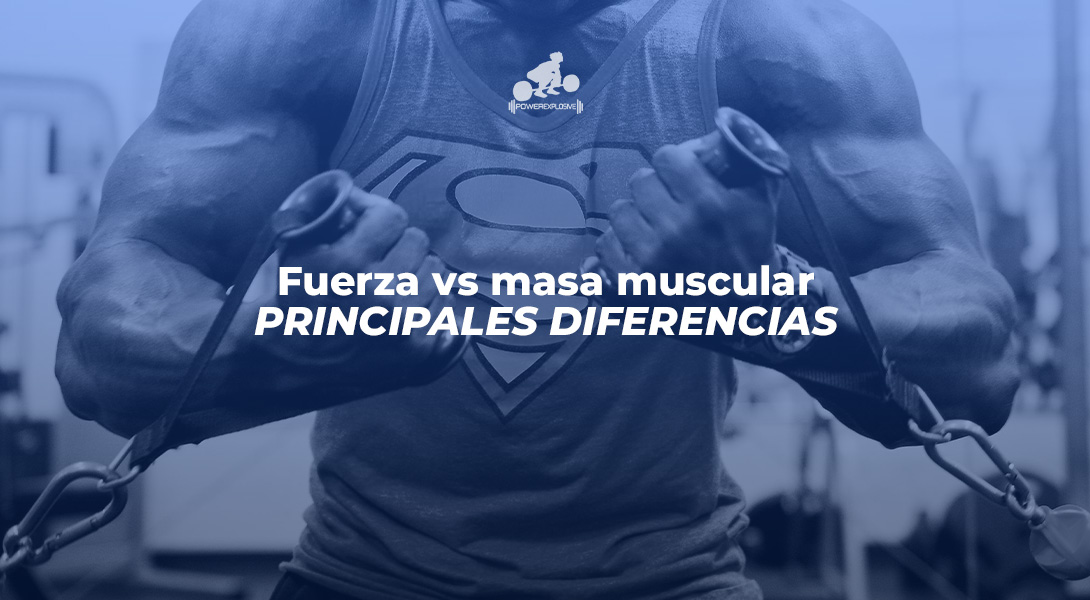 Fuerza vs. masa muscular. Principales diferencias. - PowerExplosive